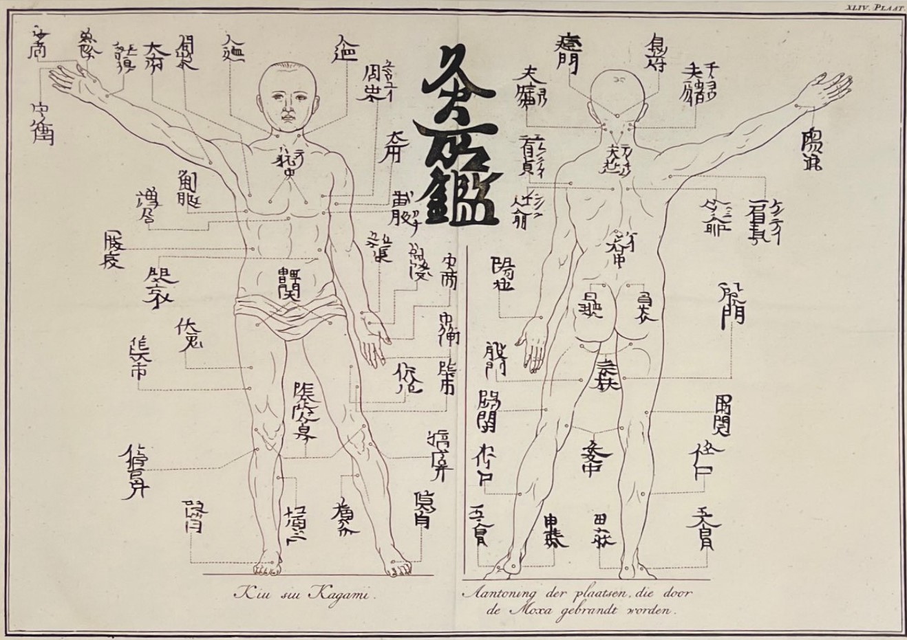 Practice - Tao Osteopathy